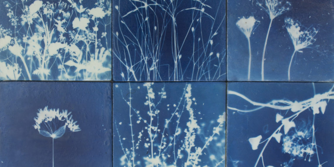 Anna Atkins: discover one of photography’s pioneers at exhibition in ...