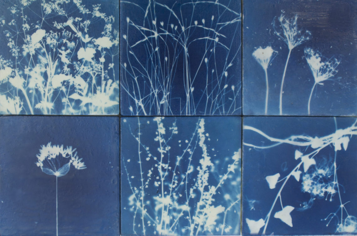 Anna Atkins: discover one of photography’s pioneers at exhibition in ...