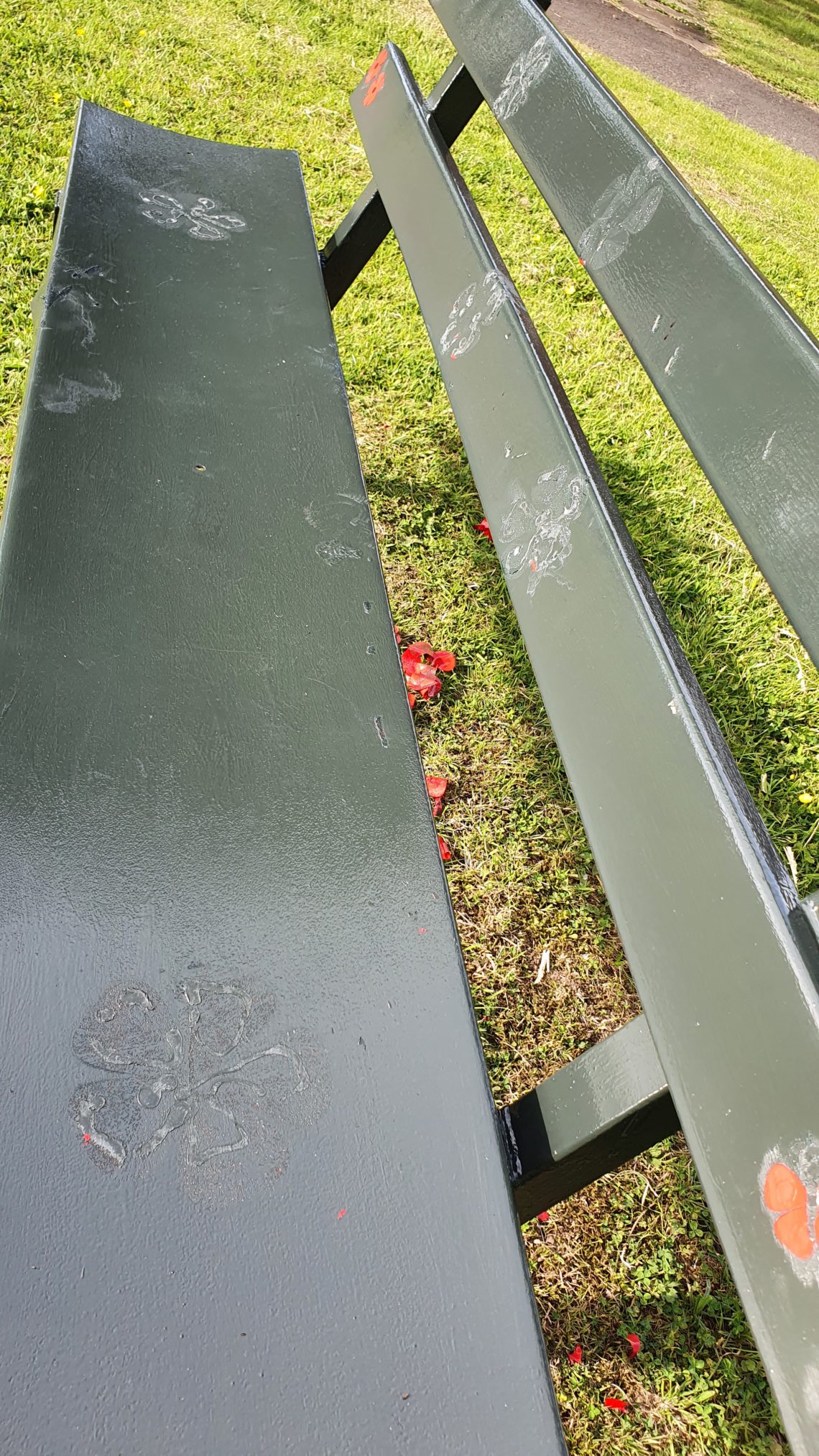 Poppy bench in Cwmbran vandalised a day after it was decorated ...